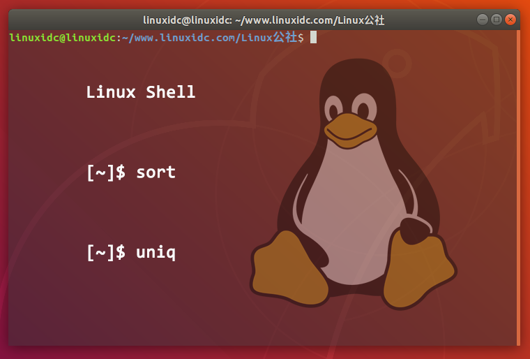 Linux Shell – 如何使用sort与uniq命令删除重复的文本行-服务器评测